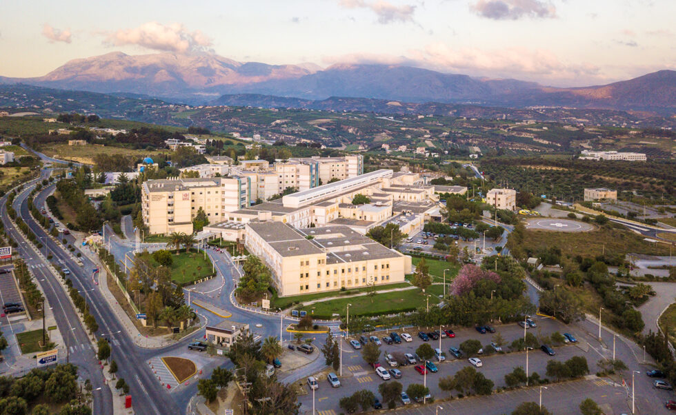 Who we are | International Program in Medicine